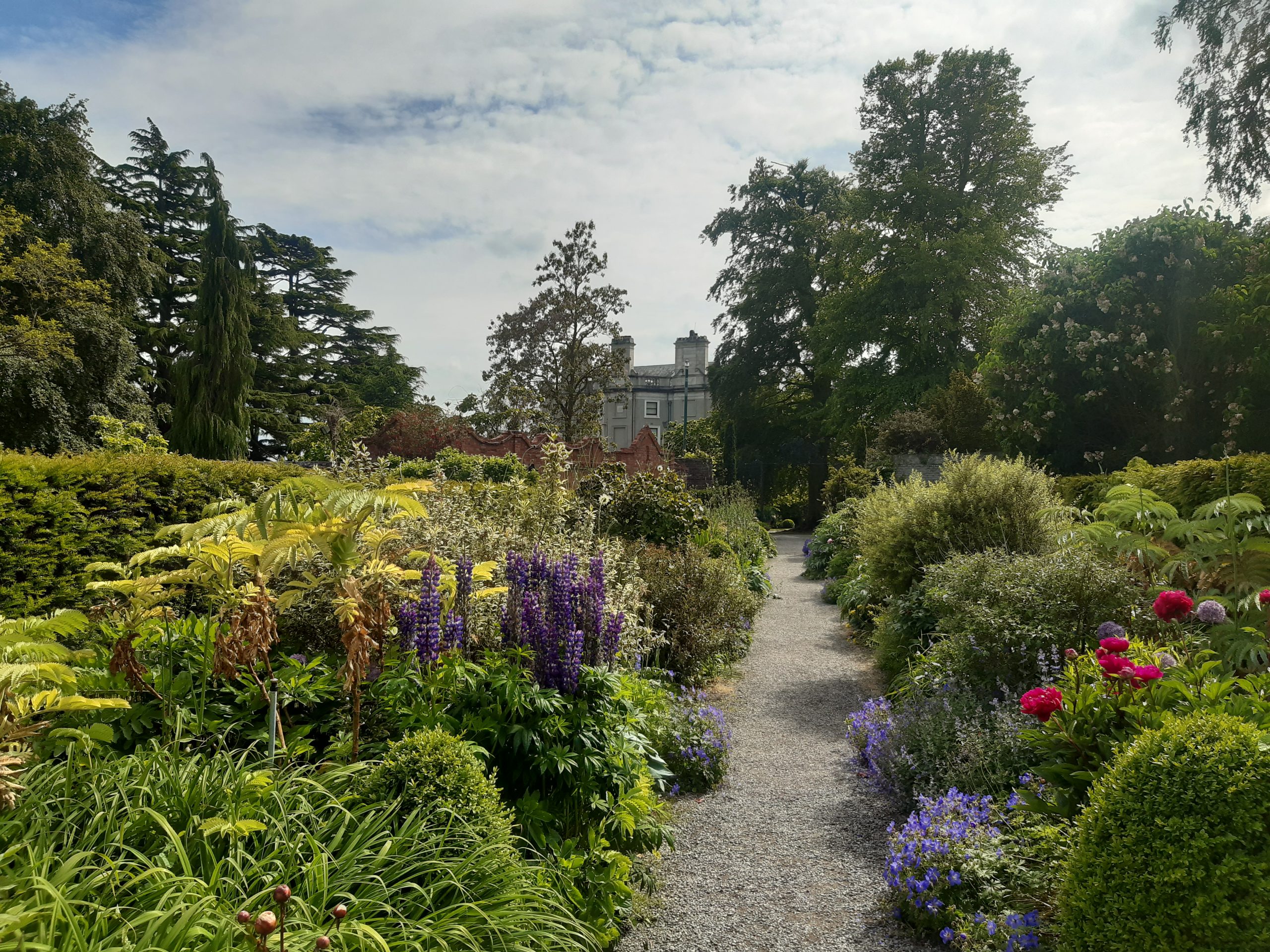 Farmleigh House and Estate | An eclectic Edwardian mansion and the ...